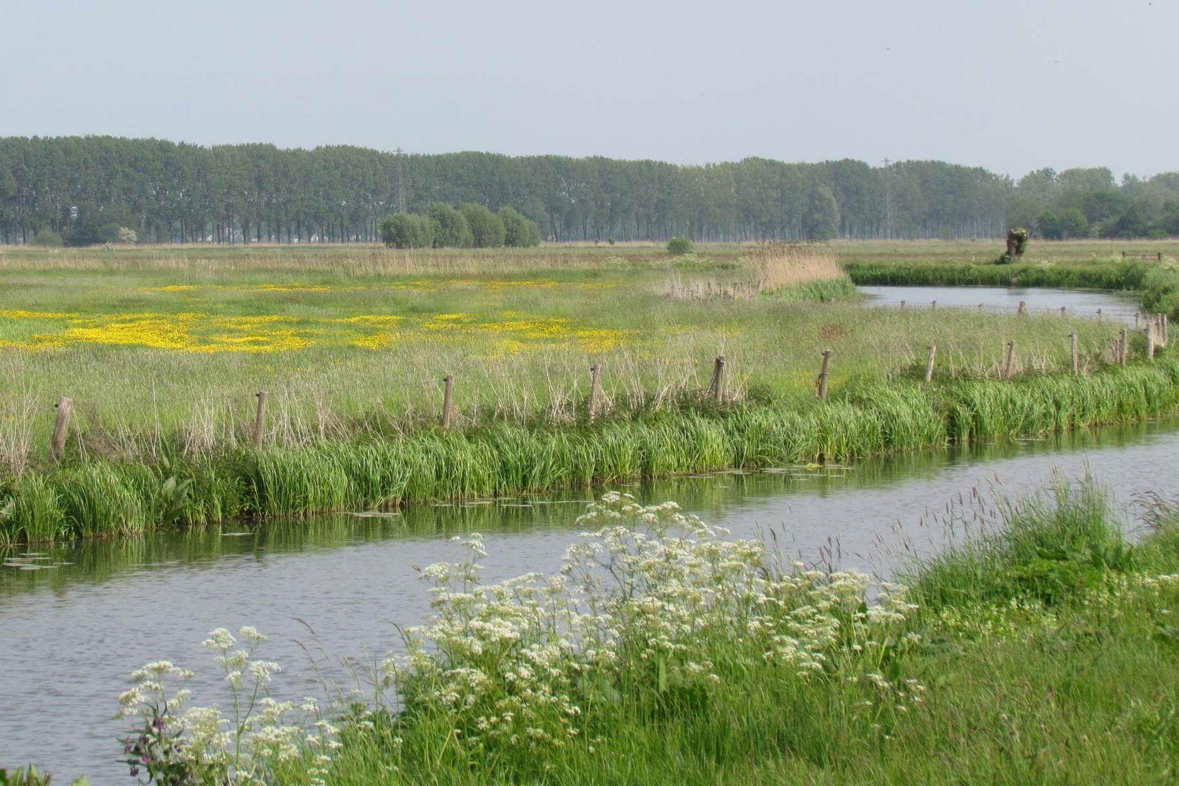 Deze groep mensen kocht een eigen natuurgebied vlakbij Wageningen ...