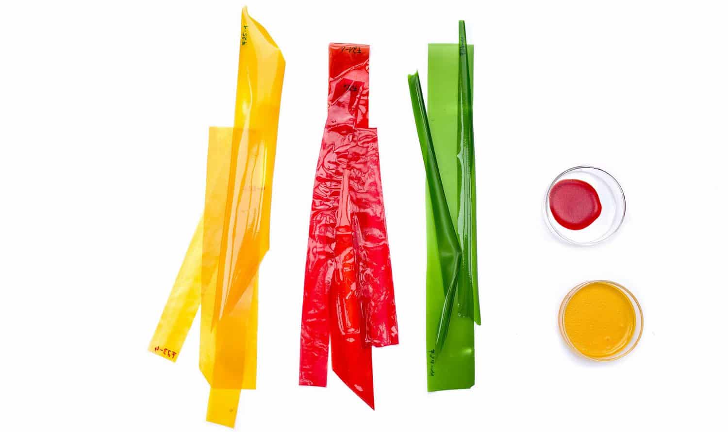 Plasticvervuiling: 13 schokkende feiten