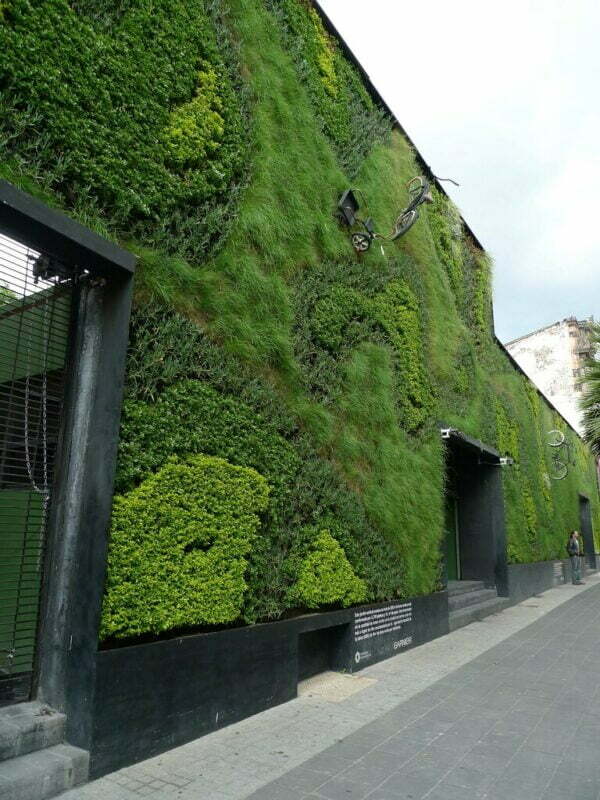 Voorbeelden van een groene, levende muur