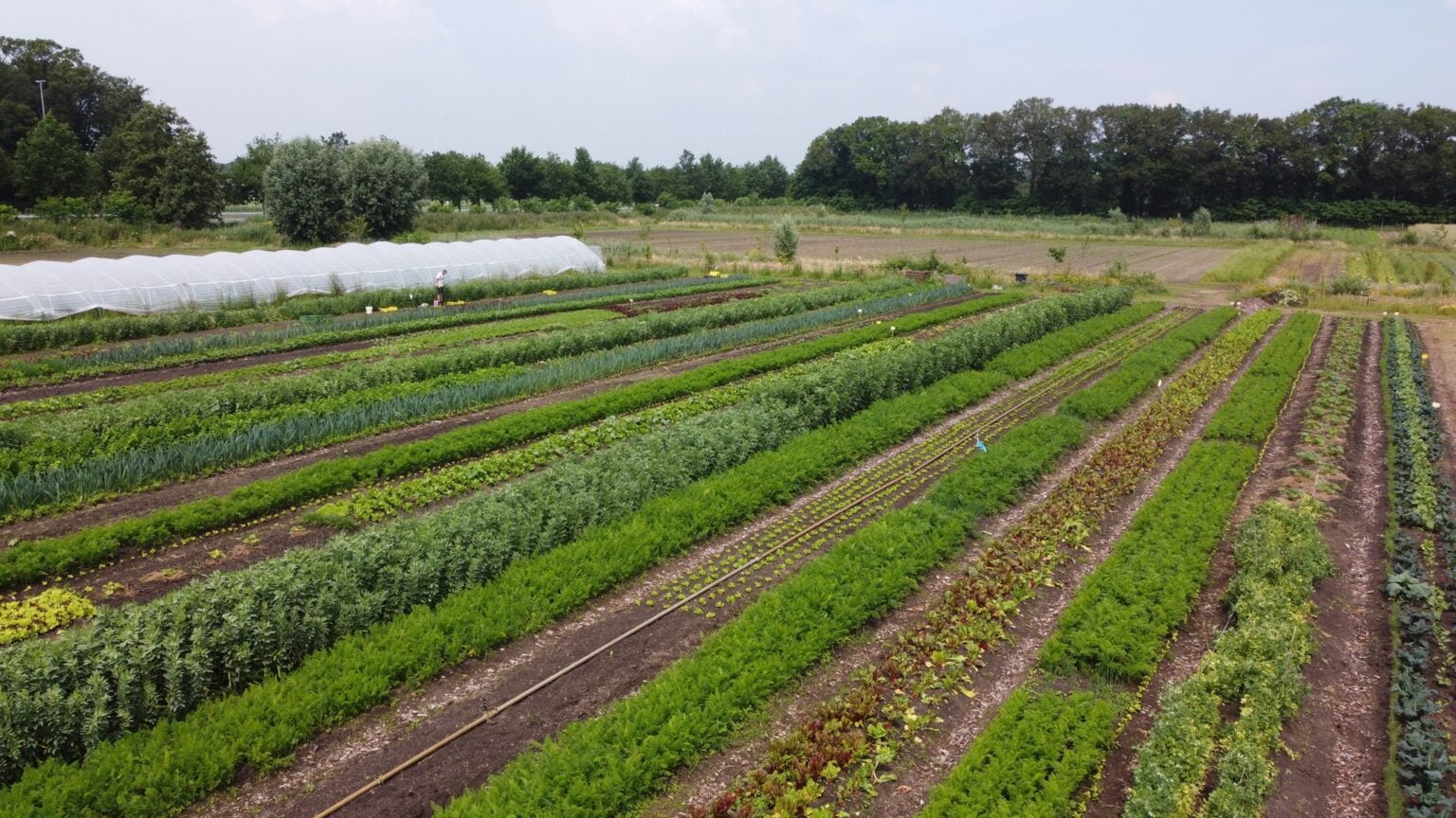 Een duurzame oplossing voor de landbouw: daar werken ze aan op deze ...
