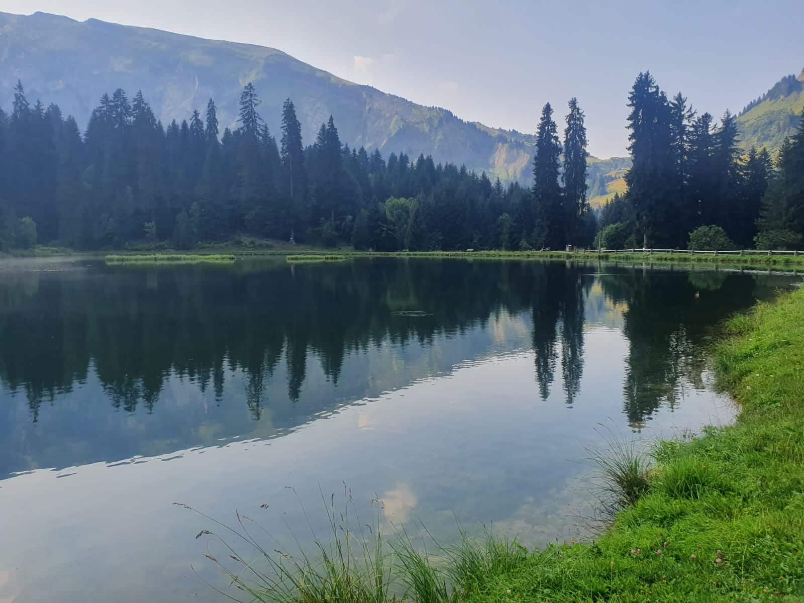 Met de trein naar Morzine en Avoriaz in de Franse Alpen