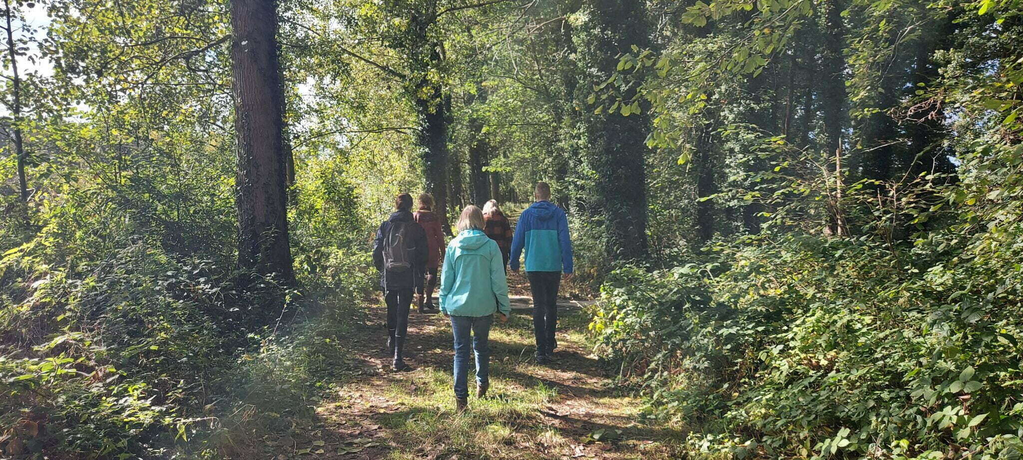 Joost laat mensen de kracht van bosbaden ervaren