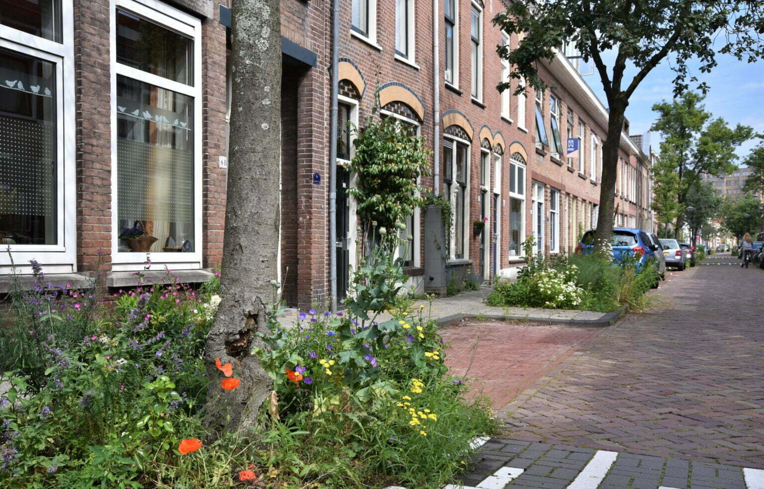 Je buurt vergroenen | Tips | Leiden | HetkanWEL