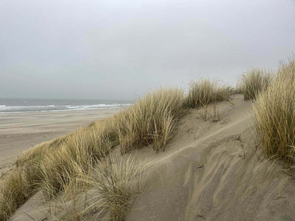 Avontuur door de Nederlandse duinen: de leukste wandelingen