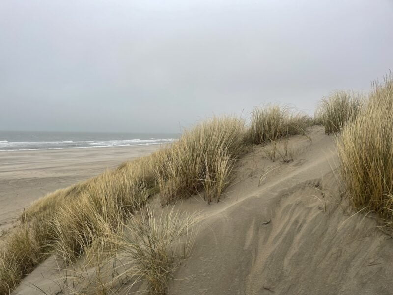 Avontuur door de Nederlandse duinen: de leukste wandelingen