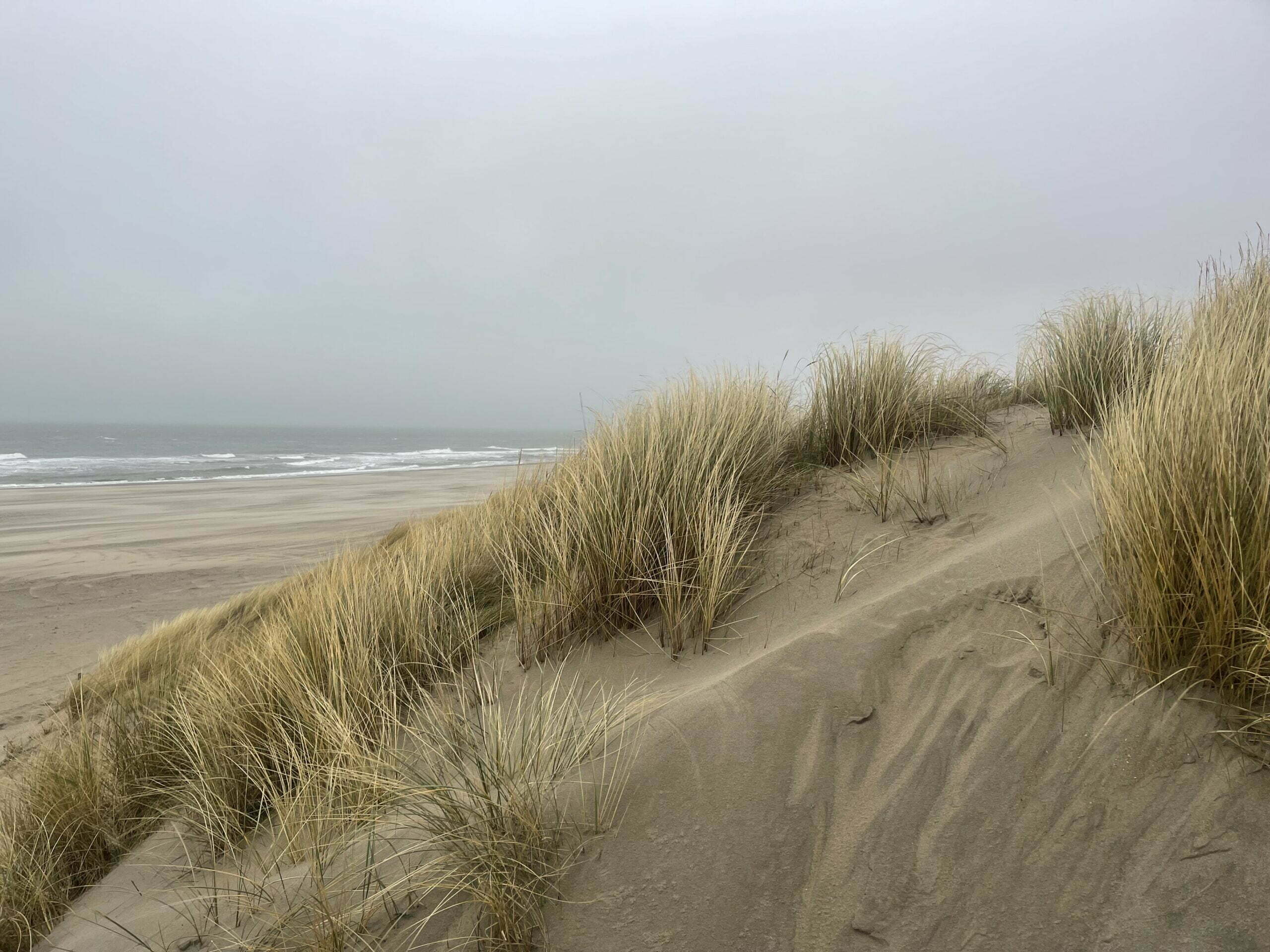 Avontuur door de Nederlandse duinen: de leukste wandelingen
