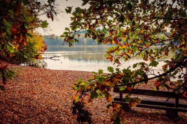 5 natuurgebieden makkelijk bereikbaar met de trein