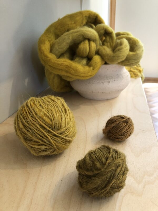 5 redenen waarom wij gek zijn op wol