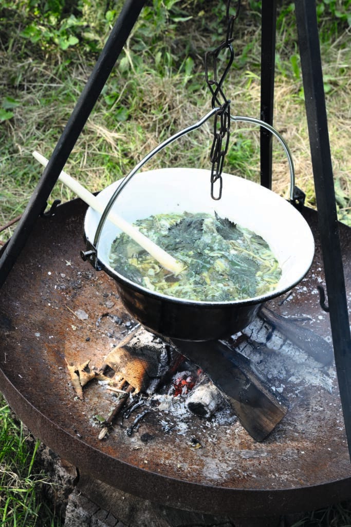 Wildplukken met Leoniek Bontje: "Eten uit de natuur brengt je dichter ...